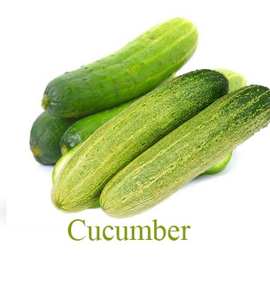 Cucumber-500gm - Fresh Bazar